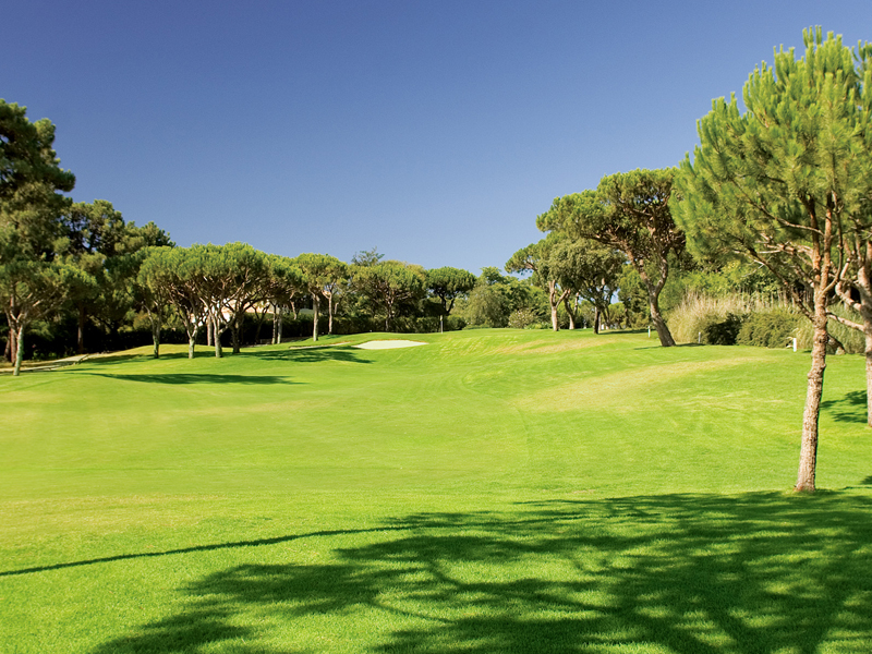 Olives Golf Course